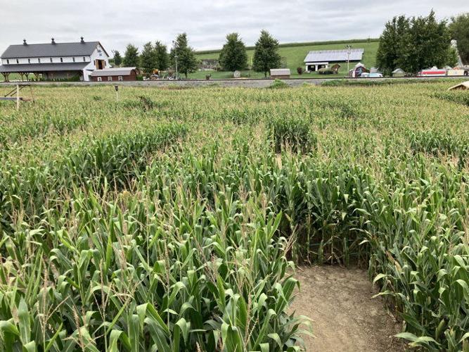 Cherry Crest Adventure Farm Entertains for Nearly 30 Years | Farm and ...
