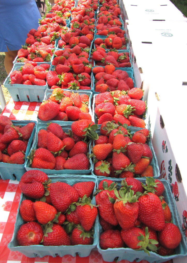 Historic Lewes Farmers Market Marks 20th Anniversary | Farm and Rural ...