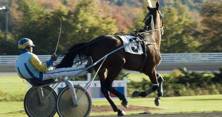 Closing of Little Freehold Raceway a Big Loss for Harness Racing ...