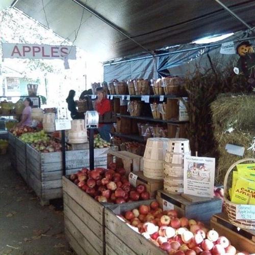 Apple Growers Deal With Labor Shortages | Farming and Agricultural News ...