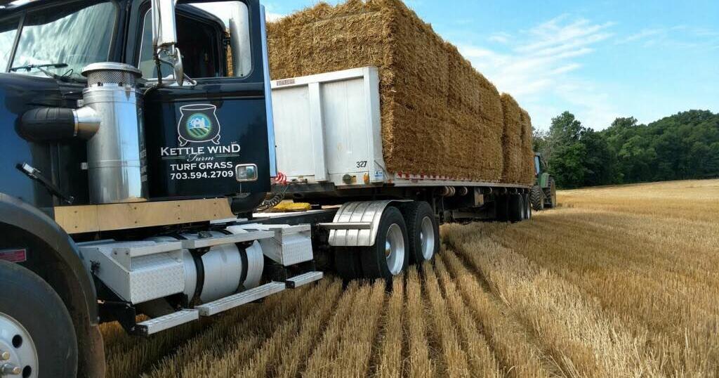 Kettle Wind Farm Honored for Environmental Stewardship | News ...