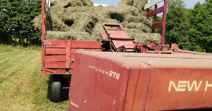 Persistent Heat Hard on Mid-Atlantic Hay Fields | Field Crop News ...