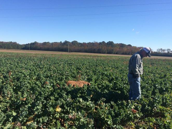 Farm Couple Bring Back an Eastern Shore Staple | | lancasterfarming.com