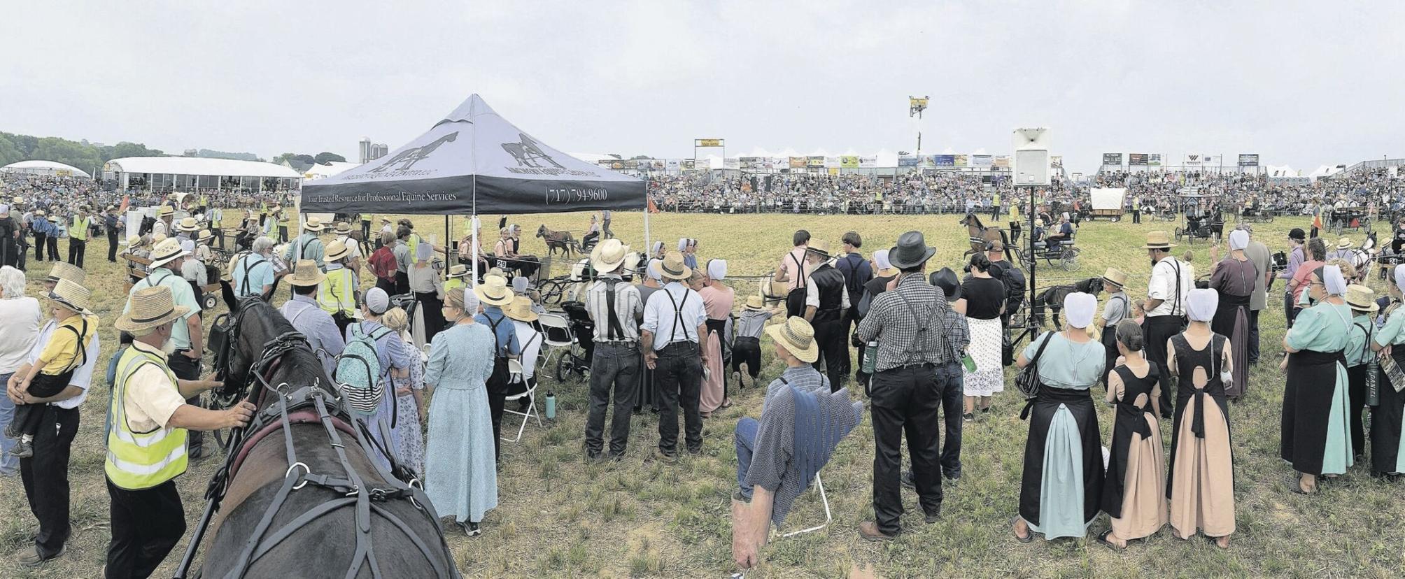 Farm Community Celebrates Horsepower Farming at Horse Progress Days ...