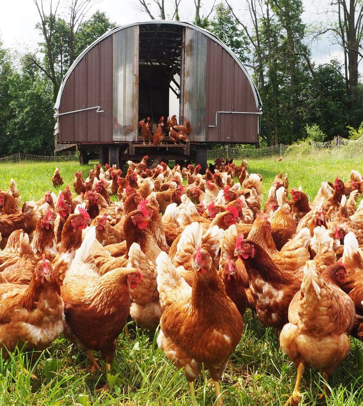 Eric Fetter Instagram, Twitter & Facebook on IDCrawl