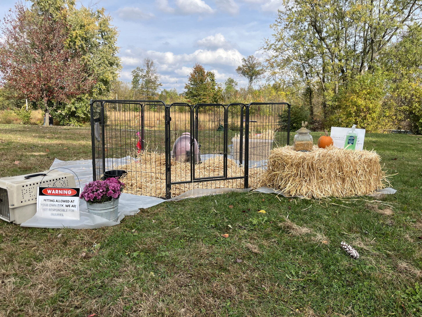 Frederick Family Farm Delivers Mobile Petting Zoo | Farm and Rural ...
