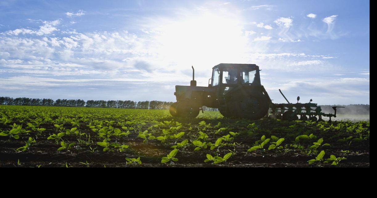 Lessons in Handing the Farming Reins to the Next Generation [Opinion ...