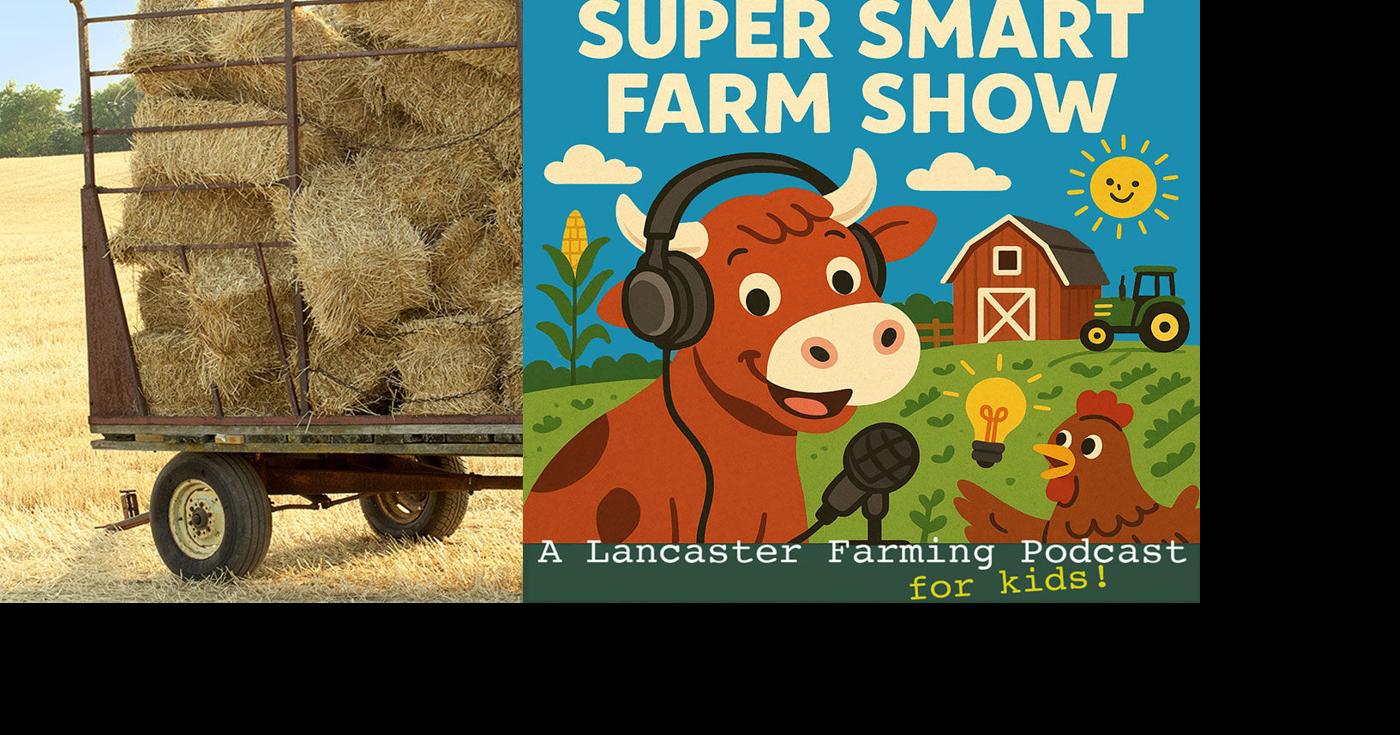 What's the Difference Between Hay and Straw? | Super Smart Farm Show ...