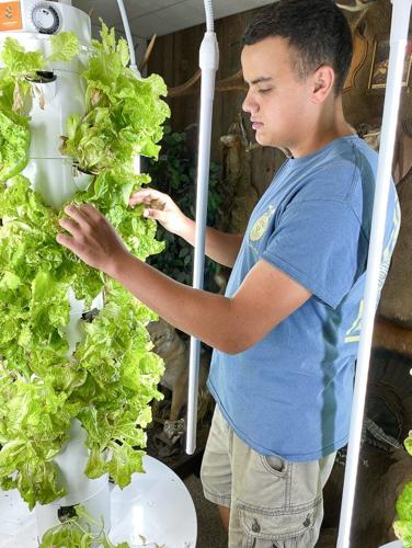 A Young Man With a Plan | Farm and Rural Family Life | lancasterfarming.com