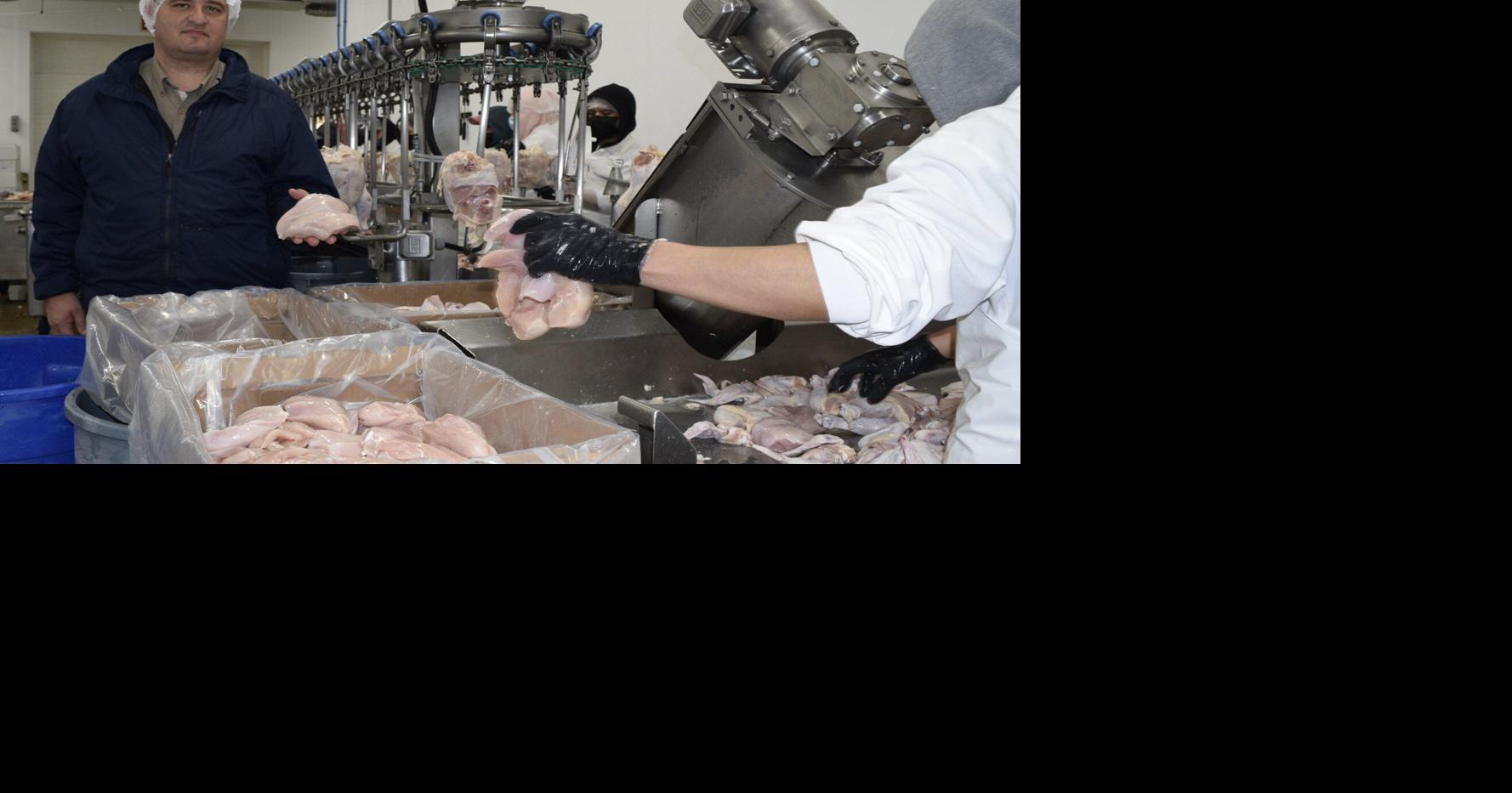 Small-Scale Poultry Integrator Thrives in Maryland | Poultry News ...