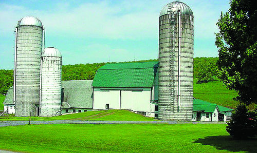 Knowltstead Farm: Second Generation Dairy of Distinction | Dairy News ...