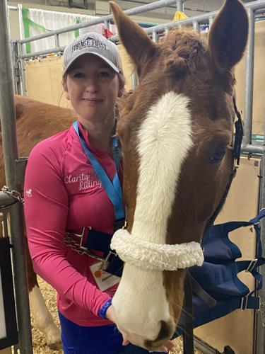 Friendly Morgan Horses 'Want to Be Part of Your Family' | Horse News ...