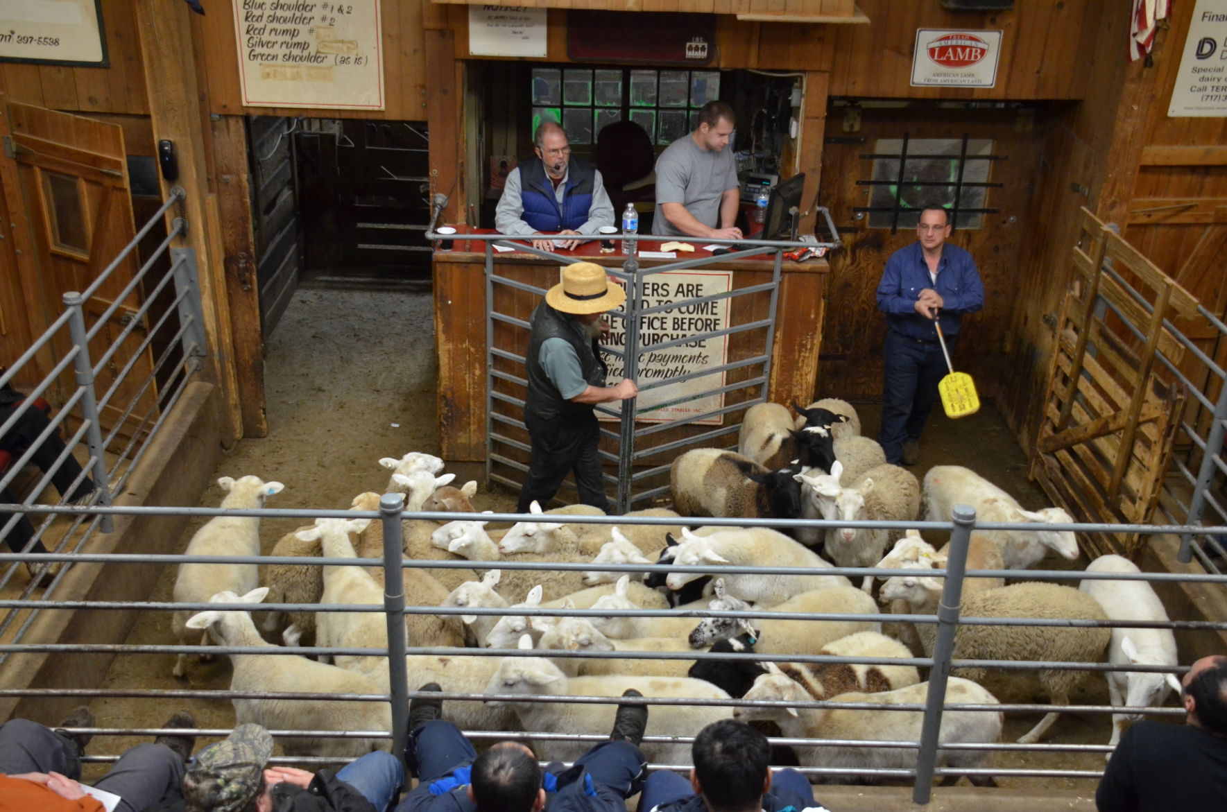 How to Read Market Reports: General Market Terms | | lancasterfarming.com