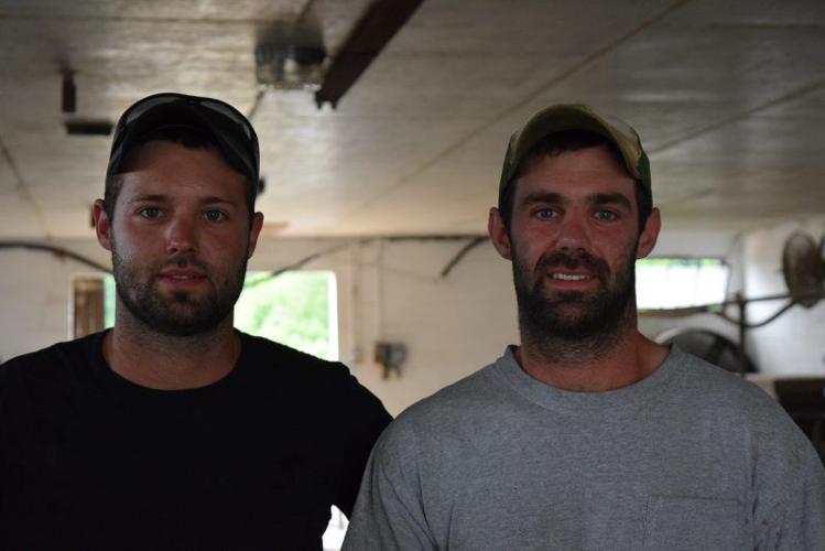 Thank Your Lucky Seven Stars | Farming and Agricultural News ...