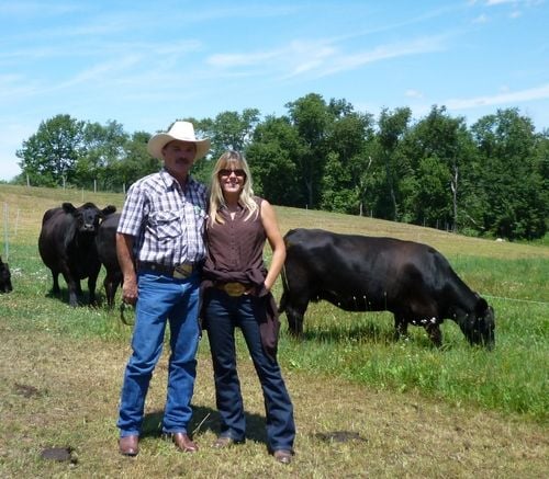 Lowline Angus on an Eastern Cattle Drive | | lancasterfarming.com