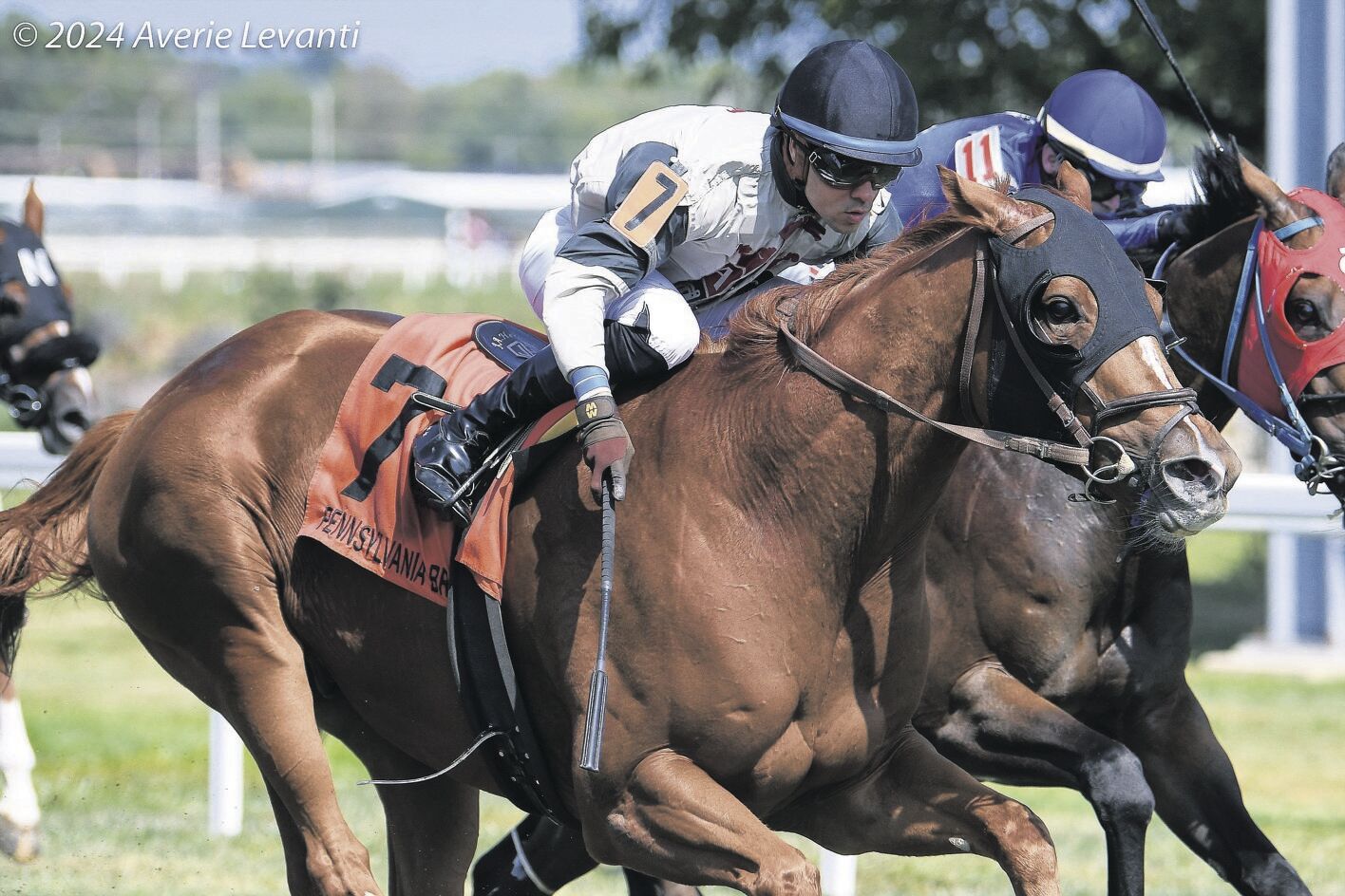 Reality TV Show Winner Running Successful Racehorse Stable in ...