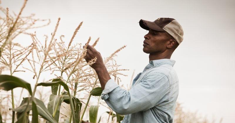 Black History Month: Through History, We See Agriculture's Future ...