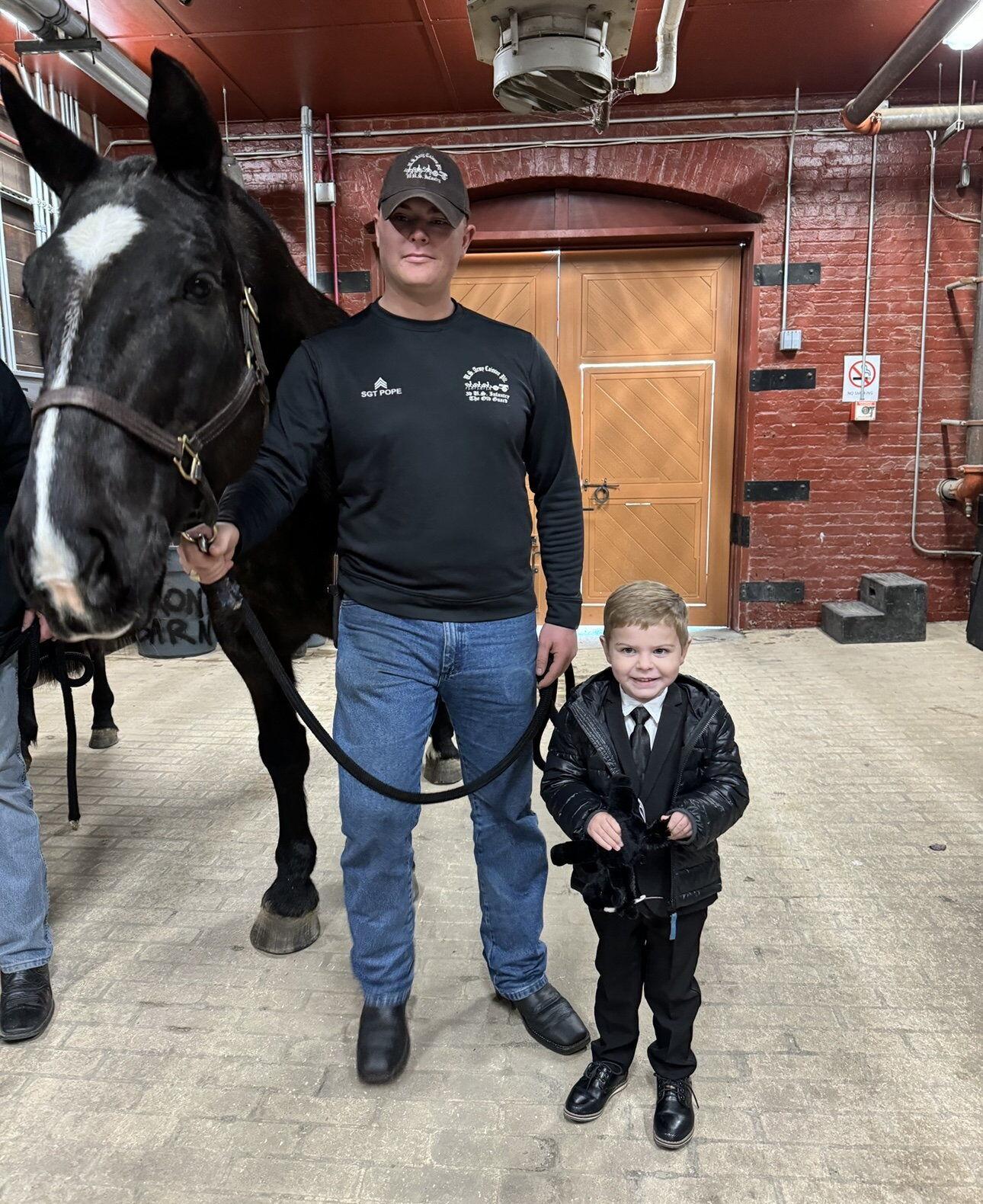 Retired Army Horse Served 8,600 Missions | Horse News and Equine Events ...