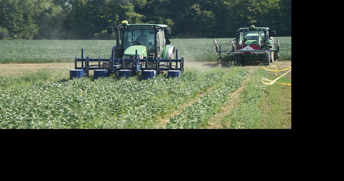 Cornell Inter-Row Mower Promising for Organic Weed Control | Farm ...