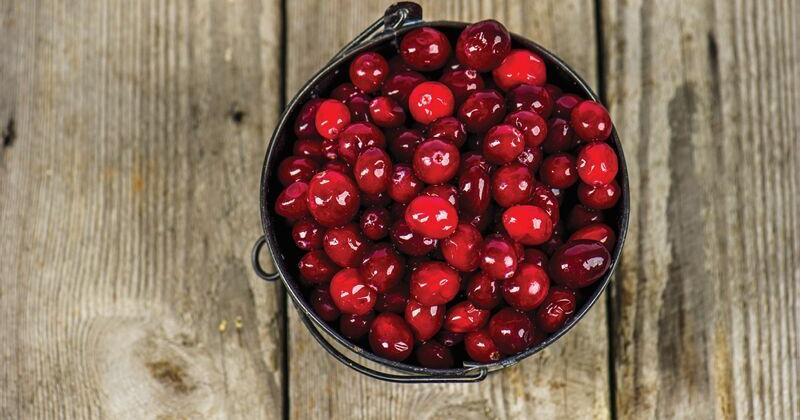 How to Make Homemade Cranberry Sauce and Salsa | Seasonal Food and ...
