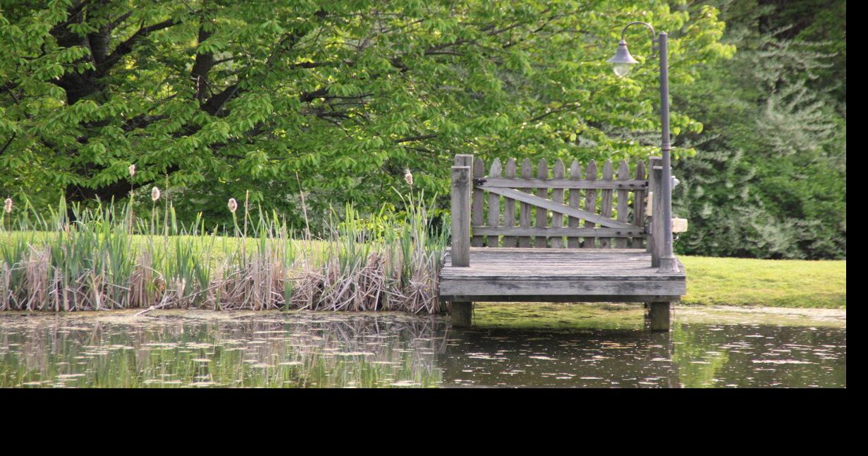 Why Farm Ponds Are Both Practical and Fun | Farm and Rural Family Life ...