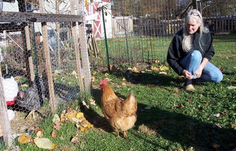 Cookie-Cutter Collection Inspires Holiday Baker | Farm and Rural Family ...