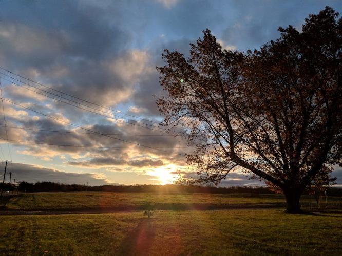 New York farm stays diverse for profit stability | Dairy News ...