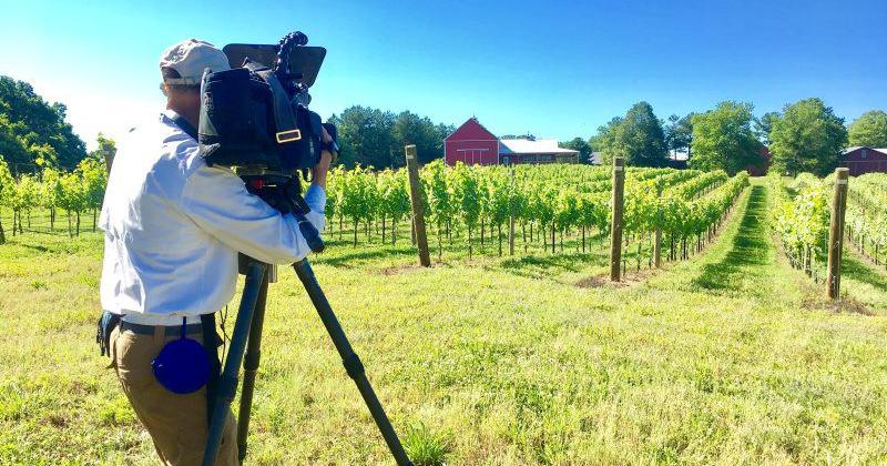 On-Farm Photography Days Add Income | Agriculture Business ...