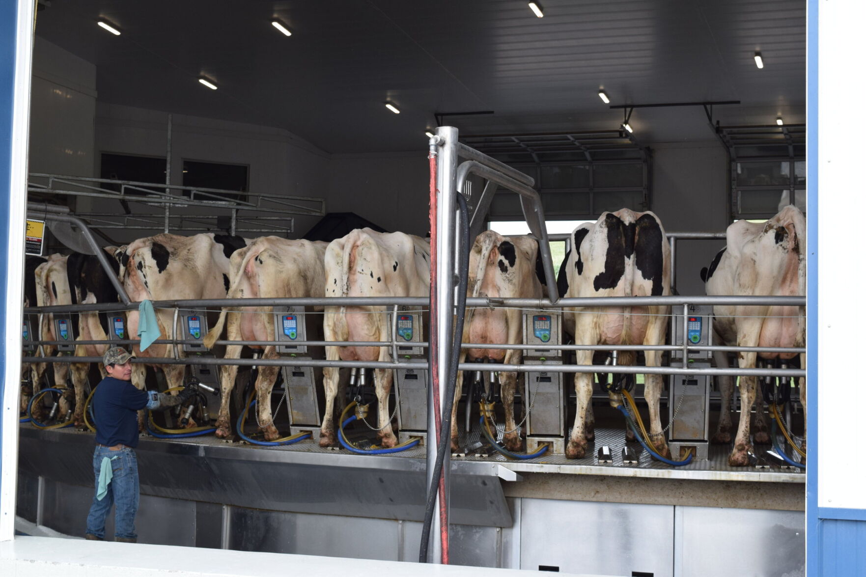 Rotary Parlor Has Dairy Rolling in the Right Direction | Dairy News ...