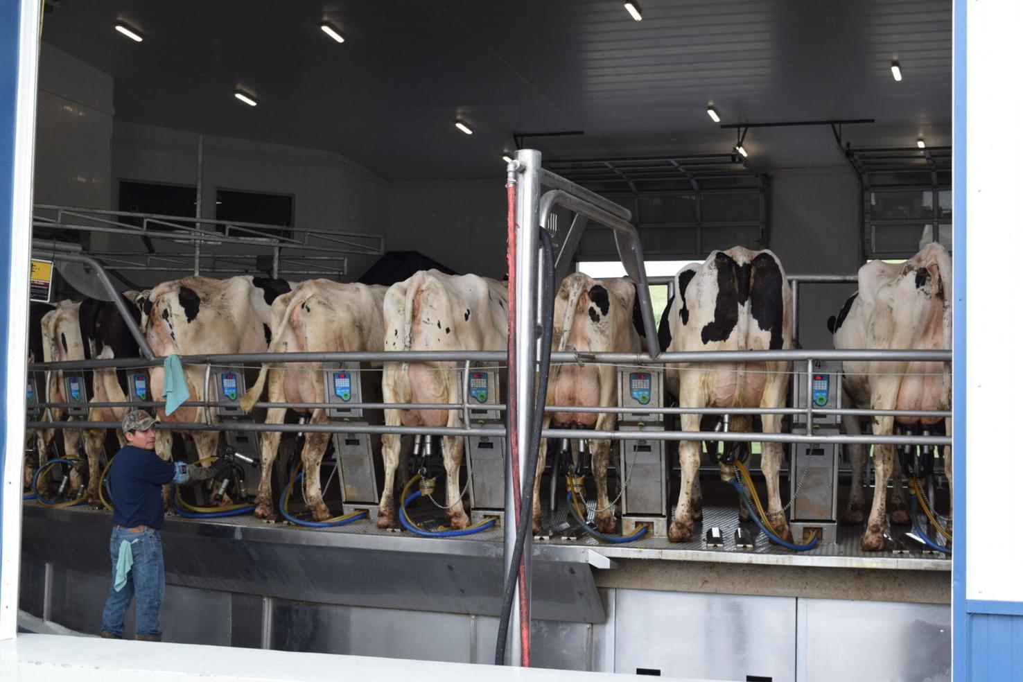 Rotary Parlor Has Dairy Rolling in the Right Direction | Dairy News ...