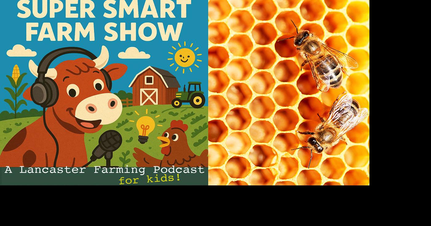 How Do Bees Make Honey? | Super Smart Farm Show | lancasterfarming.com