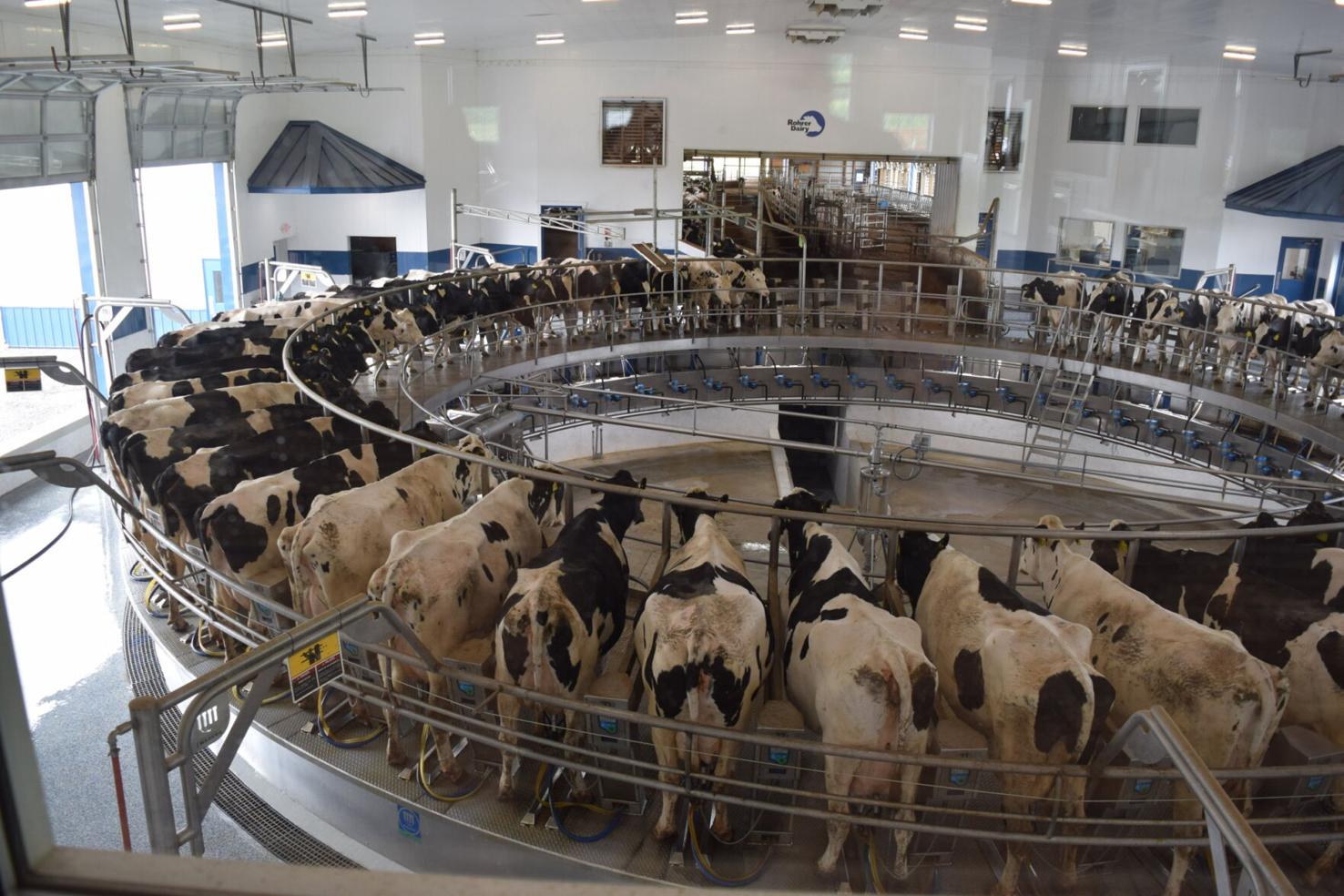 Rotary Parlor Has Dairy Rolling in the Right Direction | Dairy News ...