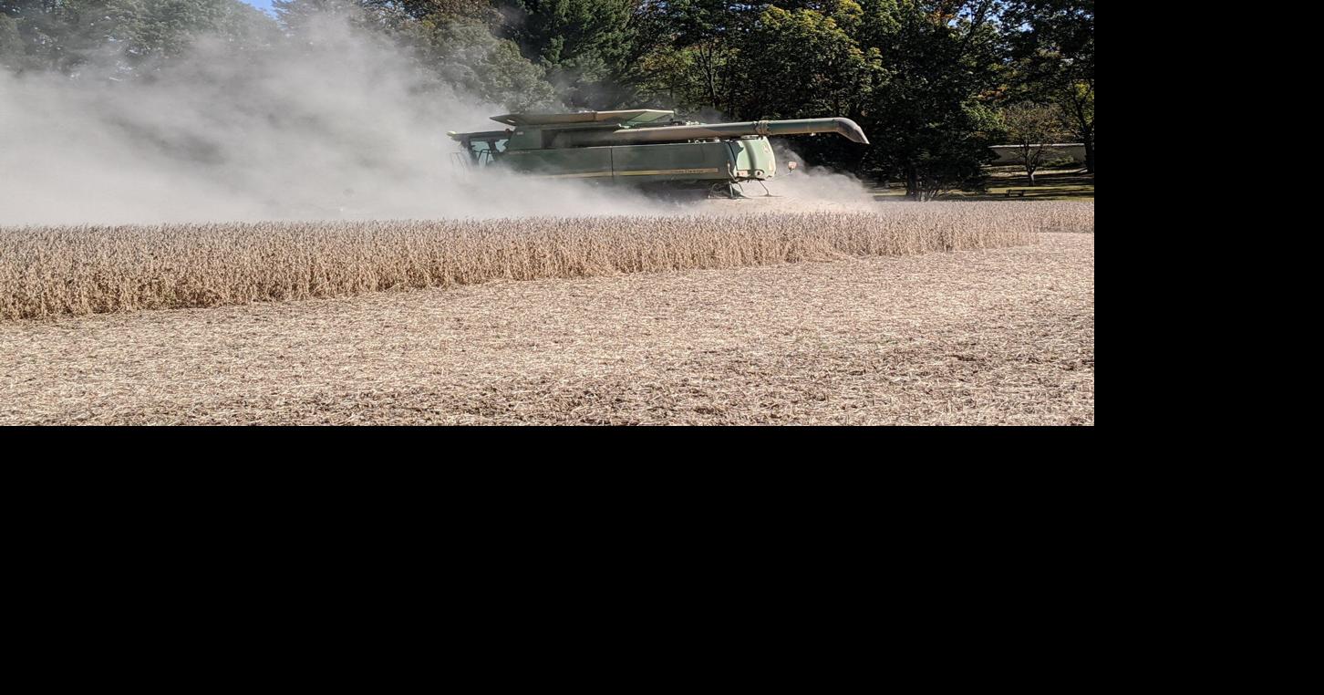 Protect Your Lungs on the Farm: Choosing the Right Respirator for the ...