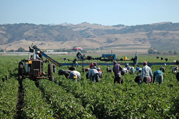 What Farmers Need to Know About H2-A Visas | Farming and Agricultural ...