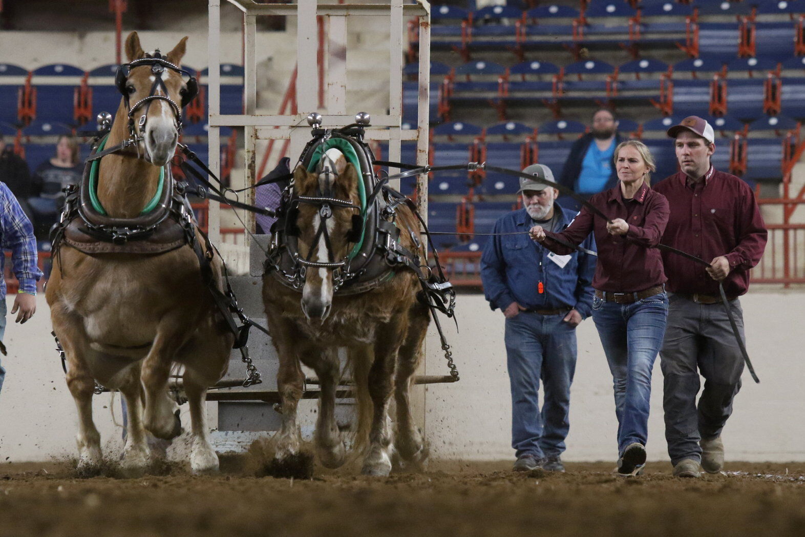 Miniature Horses Pull Major Weight at PA Farm Show | Farm Shows, County ...