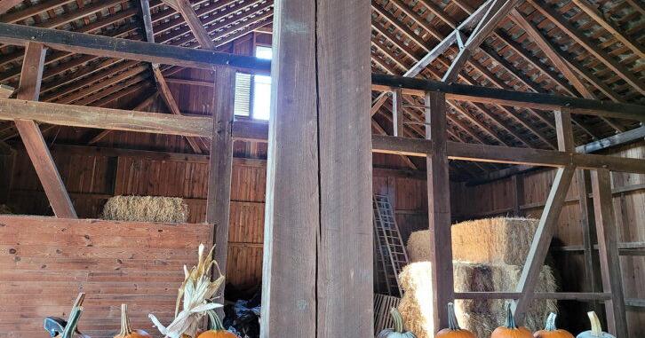 Barn Party 101: Tips for Social Soirees | Farm and Rural Family Life ...