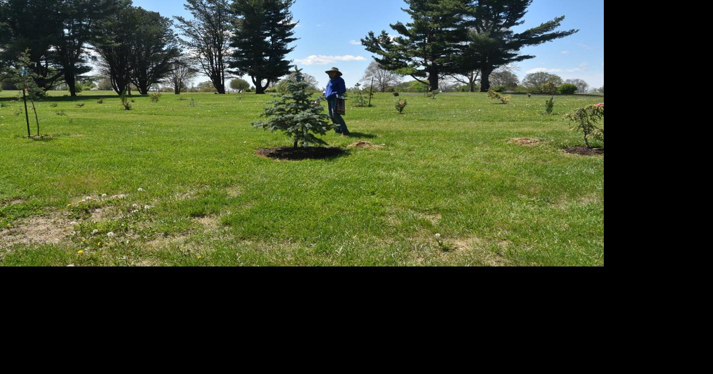 Extension Retiree Leads Effort to Protect Rare and Historic Trees ...
