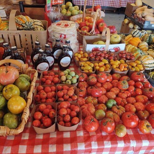 Paige’s Pit Stop: How a Gardening Hobby Grew Into a Successful Farm ...