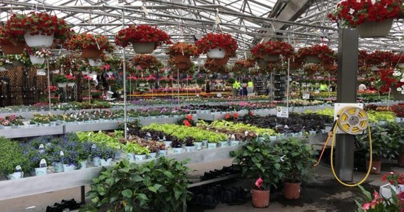 Garden Center Growing for Nearly a Century | Gardening Tips and How-To ...