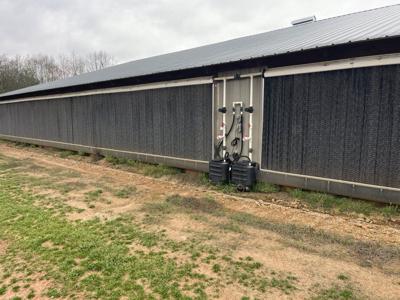 Inspect Your Poultry Cooling System Before Peak Heat | Poultry News ...