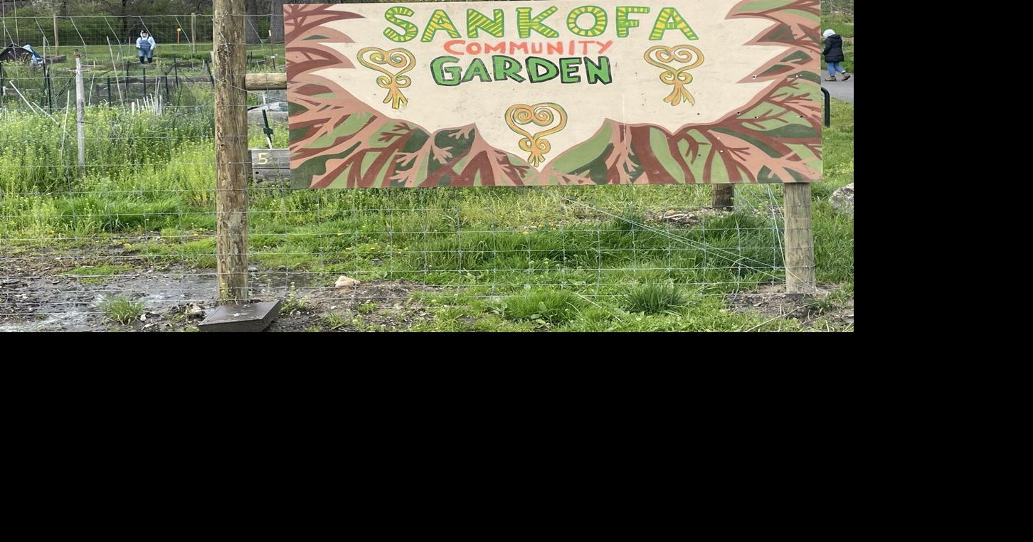 Urban Community Farm Sankofa Reconnects African Diaspora Culture ...