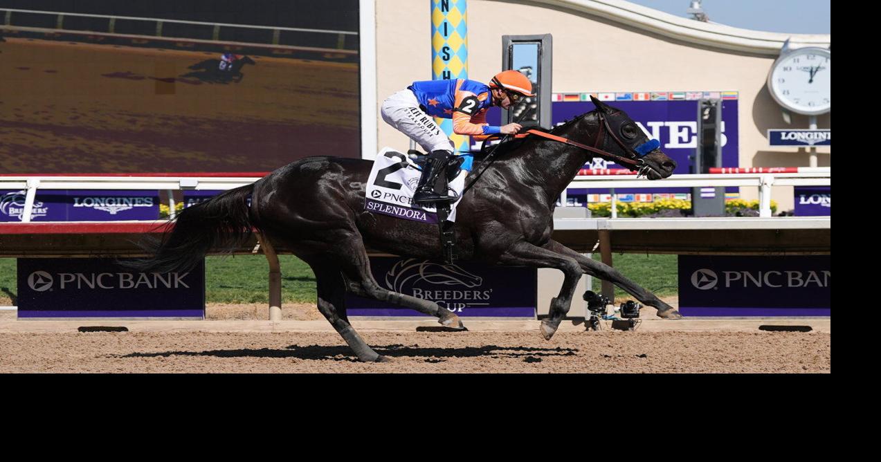 Maryland-Bred Splendora Shows Strength With Breeders' Cup Win | Horse News and Equine Events ...
