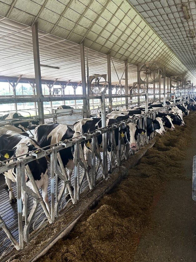 Third-Generation Dairy Farm Offers Sunflower Maze and Farm Tours | Farm ...