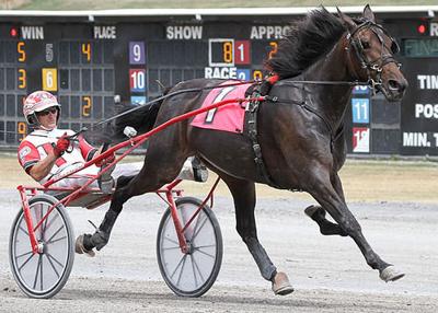 Pennsylvanian Dave Palone breaks wins record | Horse News and Equine ...