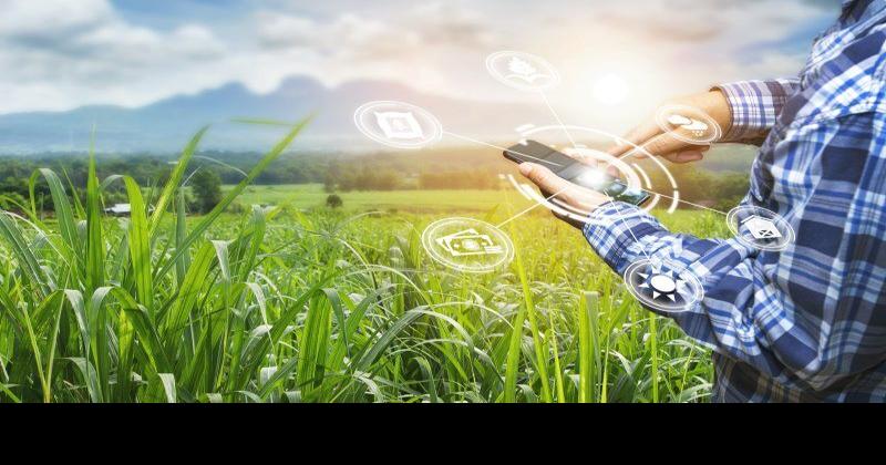 Augmented Reality Could Enhance Farm Productivity | Farming and ...