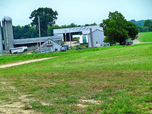 Windy Ridge Dairy Farm Taking a Chance on the Future | Dairy News ...