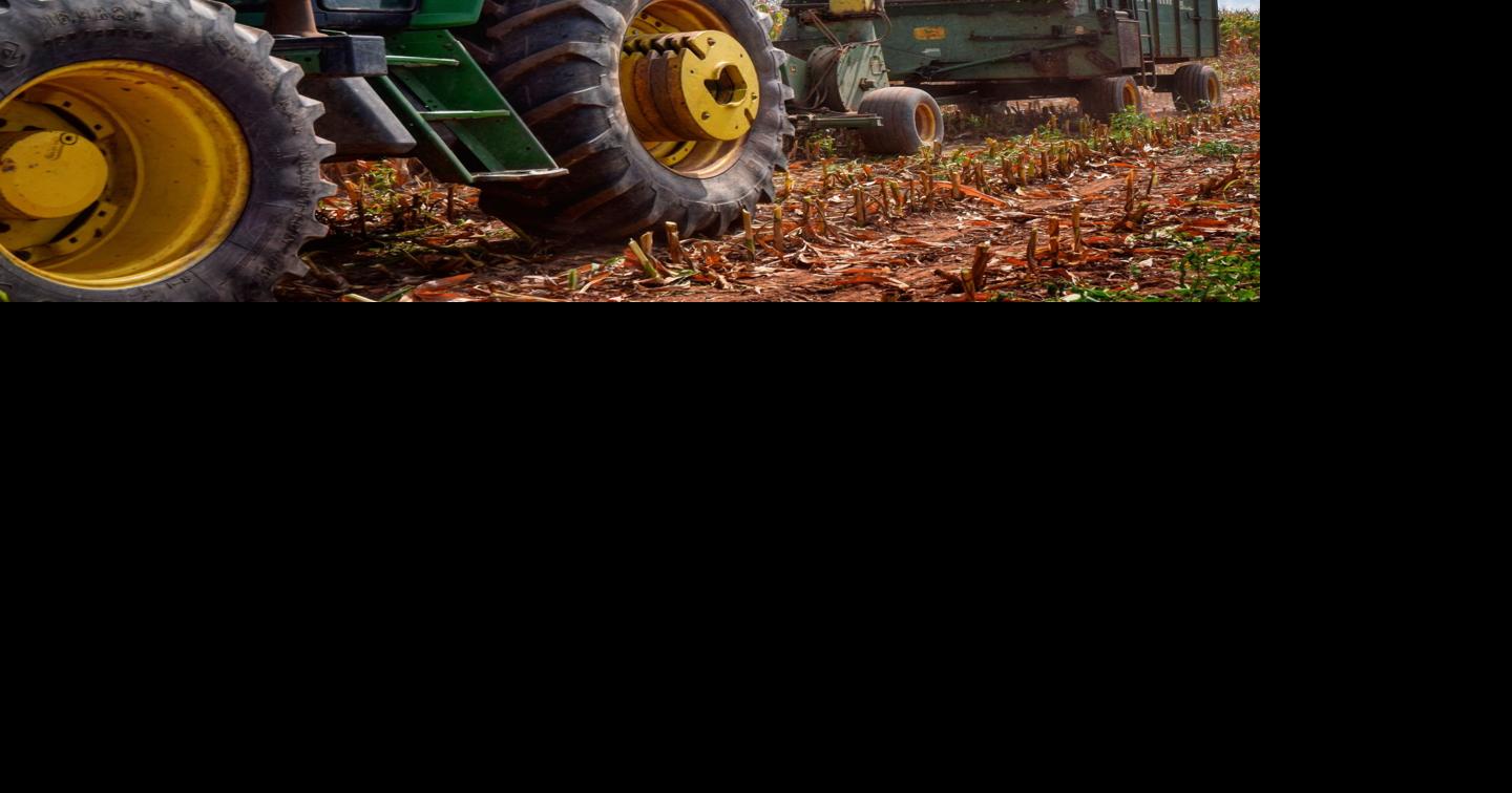 Top Tips for Corn Silage Harvest | | lancasterfarming.com