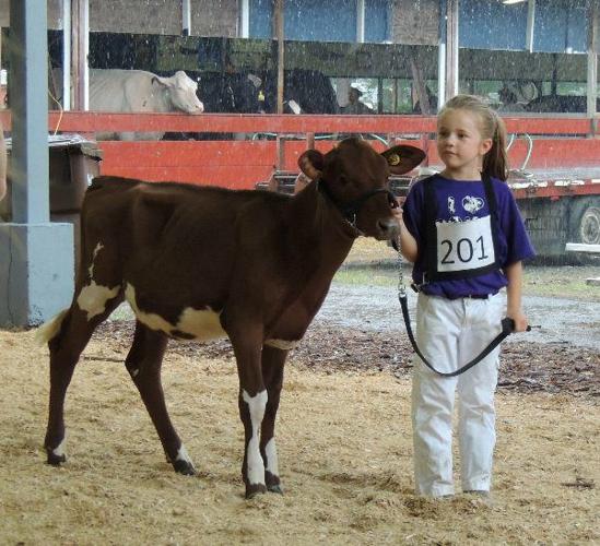 Heeter Sisters Grow Up With Ayrshires | Farm Shows, County Fairs ...