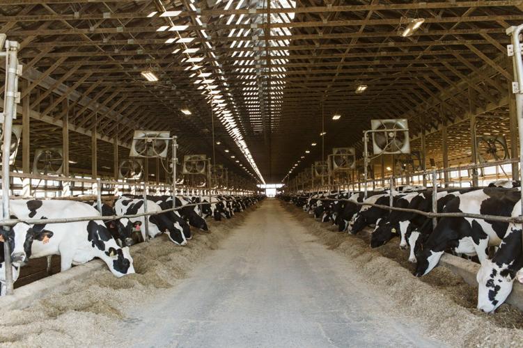 At 90 Years, Kreider Farms Churns Up More Ice Cream | Agriculture ...