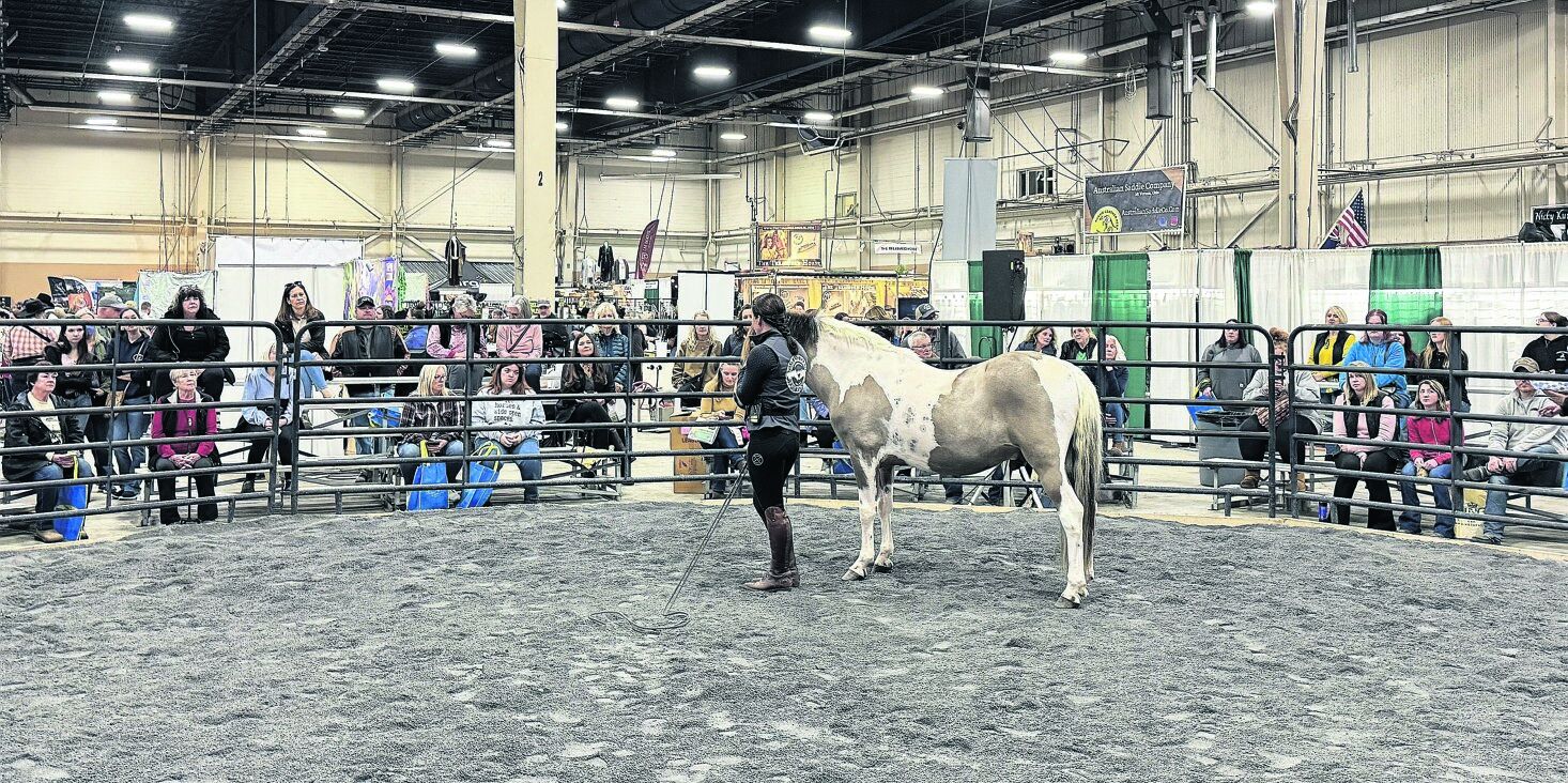 Horse World Expo in Full Gallop This Weekend at the Pennsylvania Farm ...